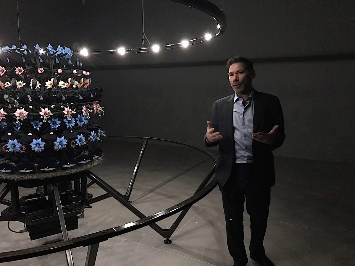 Mat Collishaw: Forms Of Illusion And Truth By Sue Hubbard - Artlyst