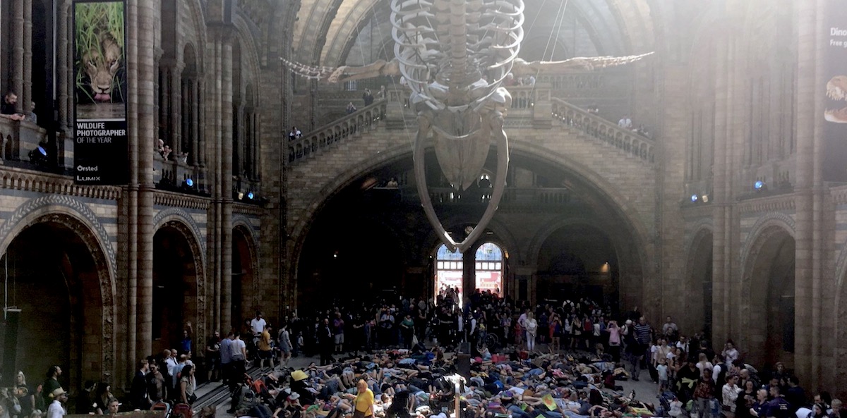 Extinction Rebellion Stages Huge Die-In At Natural History Museum - Artlyst