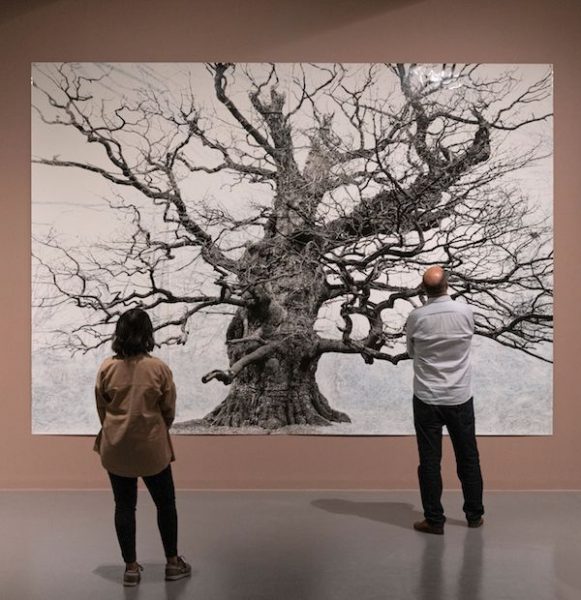 Radical Landscapes: A Reaction To Nature - Tate Liverpool - Alice ...