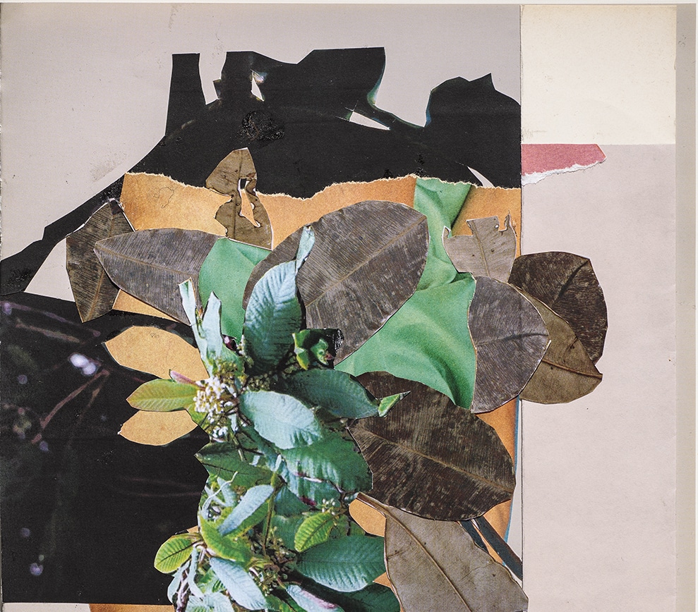 Lucia Veronesi: The Extinct Desinence - Artlyst